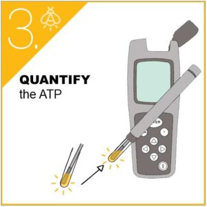 ATP test kit for microbial analysis of surfaces - GL Biocontrol